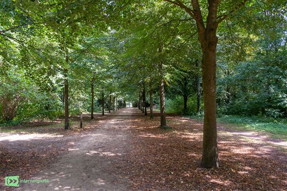 Bree - Code geel voor brandgevaar in Limburg - Internetgazet