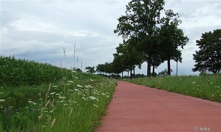 Hamont-Achel - Mooi fietspad - Internetgazet