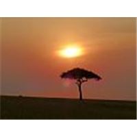 Hamont-Achel - Norbert Panken overleden - Internetgazet